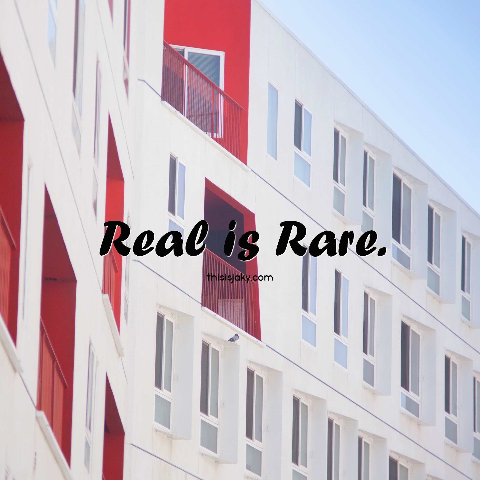 real is rare – This Is Jaky.com